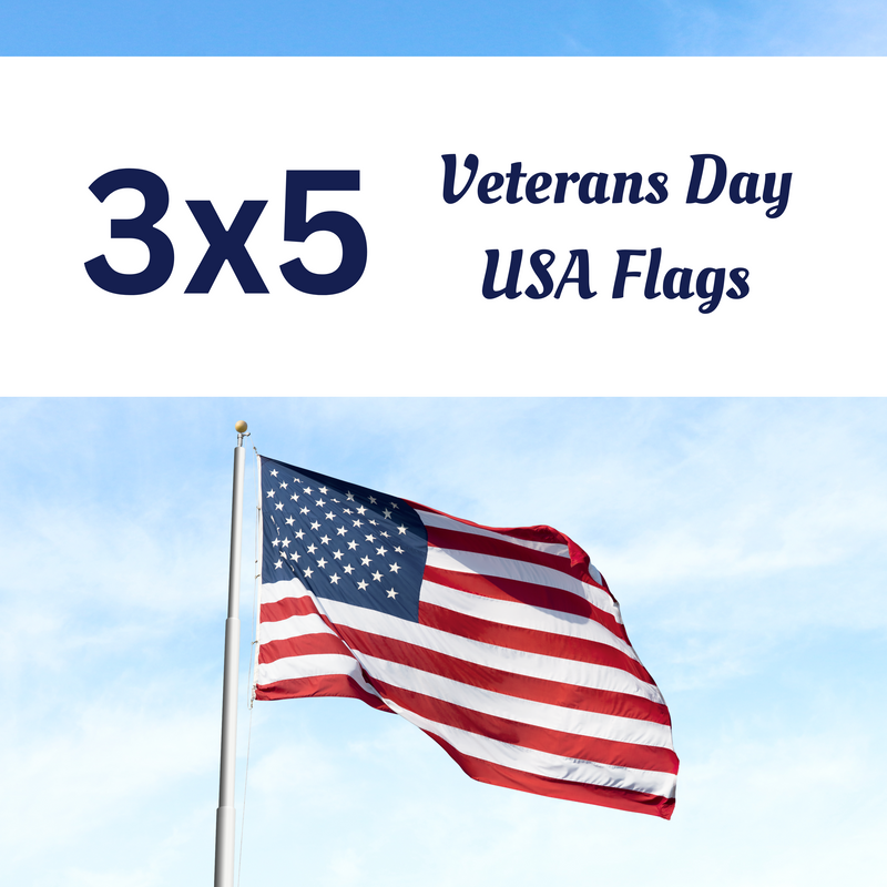 Veterans Day Flags
